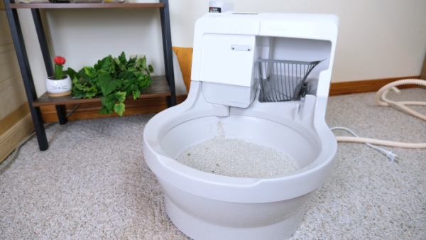 7 automatischen Katzentoiletten im Test – unsere Empfehlungen