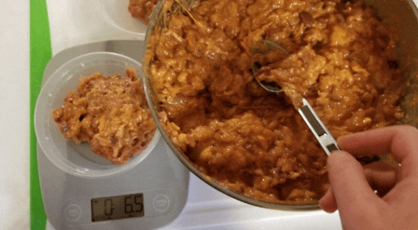 6 leckere Rezepte für selbstgemachtes Katzenfutter.
