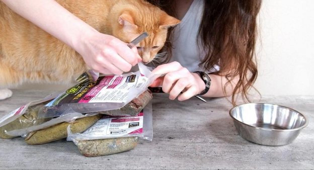 6 leckere Rezepte für selbstgemachtes Katzenfutter.